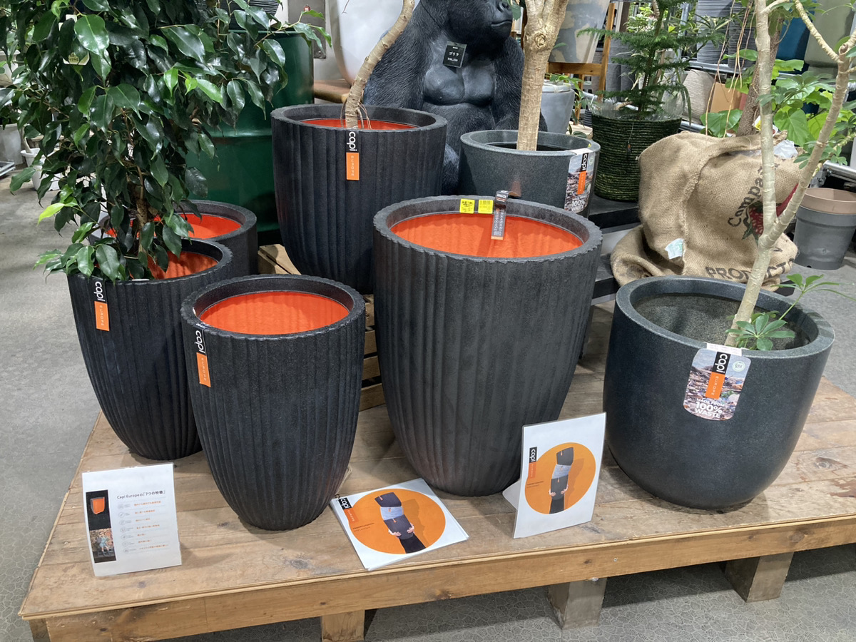 観葉や植木に似合う、オランダ製ポット「Capi」のご紹介 | オザキフラワーパーク | オザキフラワーパーク